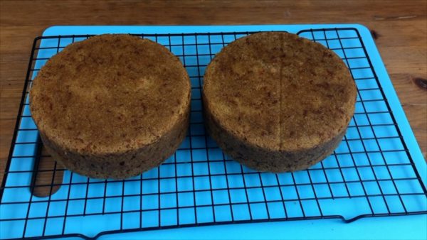 How To Travel With A Cake In Your Suitcase – British Girl Bakes