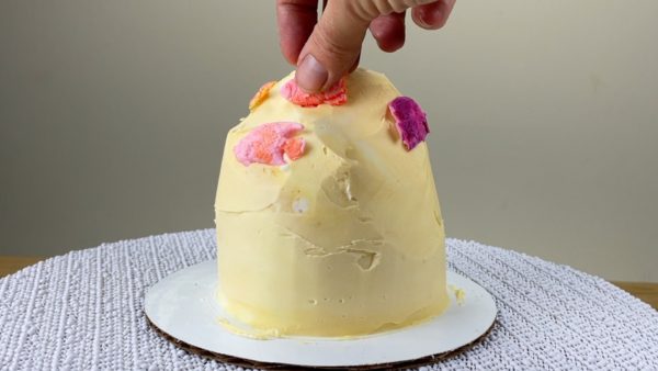 How To Make An Under The Sea Jelly Cake – British Girl Bakes