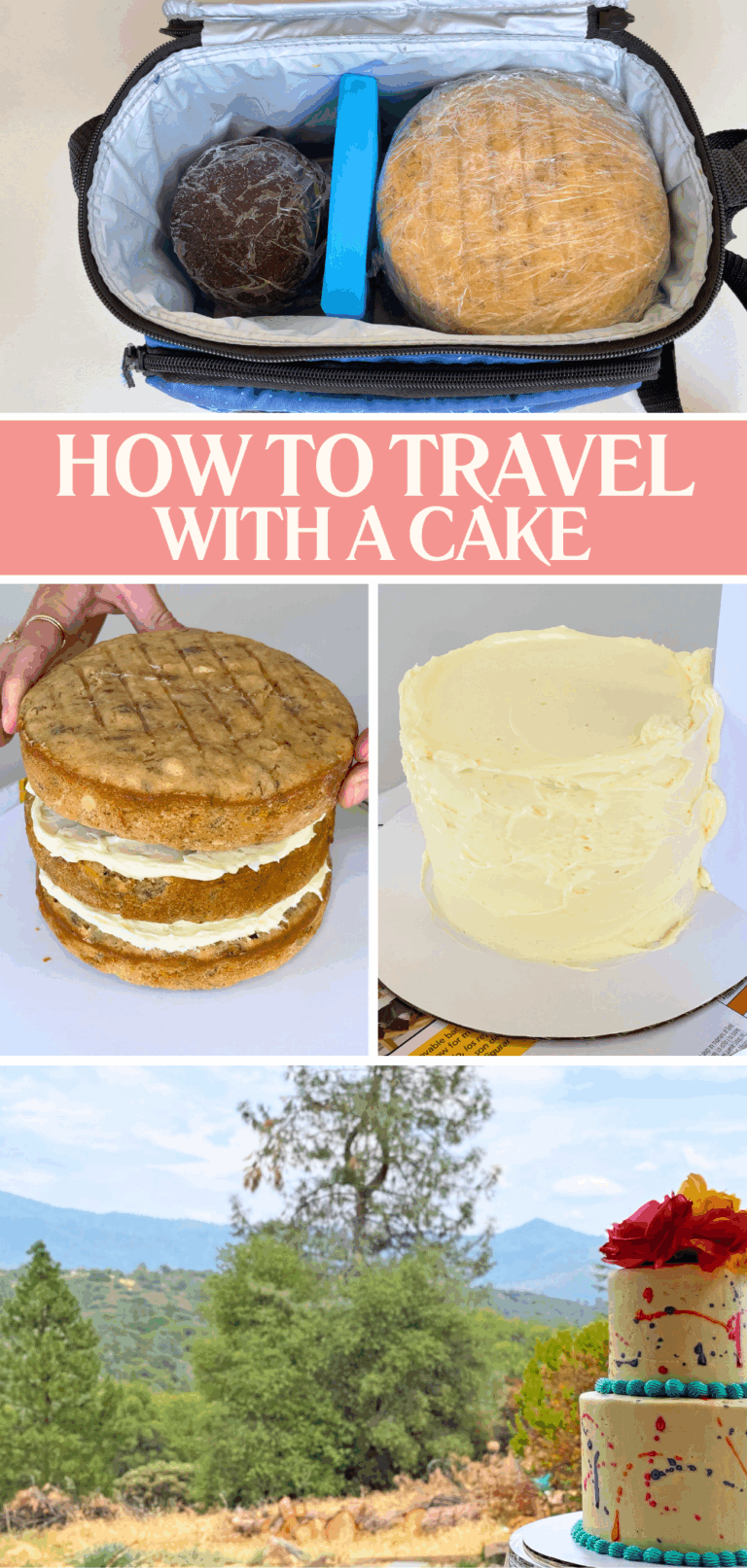 How to Travel with a Cake: 10 Genius Cake Travel Hacks - British Girl Bakes